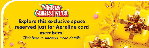 Bus Malaysia Singapore : Aeroline : Coach Malaysia Singapore